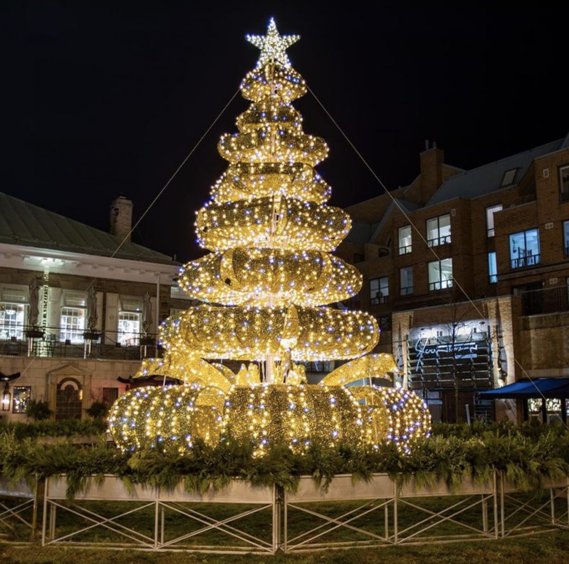 Lighting our Way: Holiday Sights on our Local Streets - Look Local ...