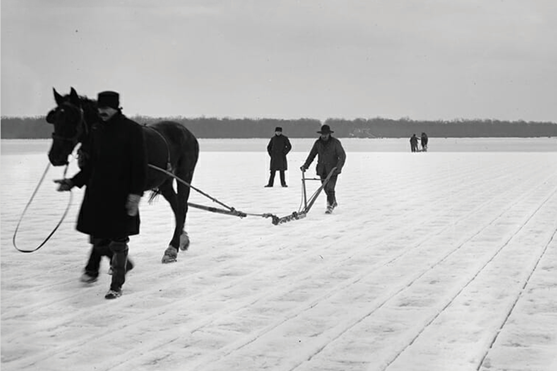 A Frozen Era: Cootes Paradise Has An Icy History