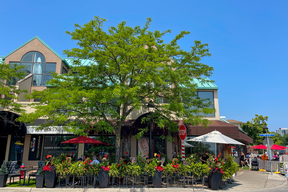 The Best Patios in Bronte 2025