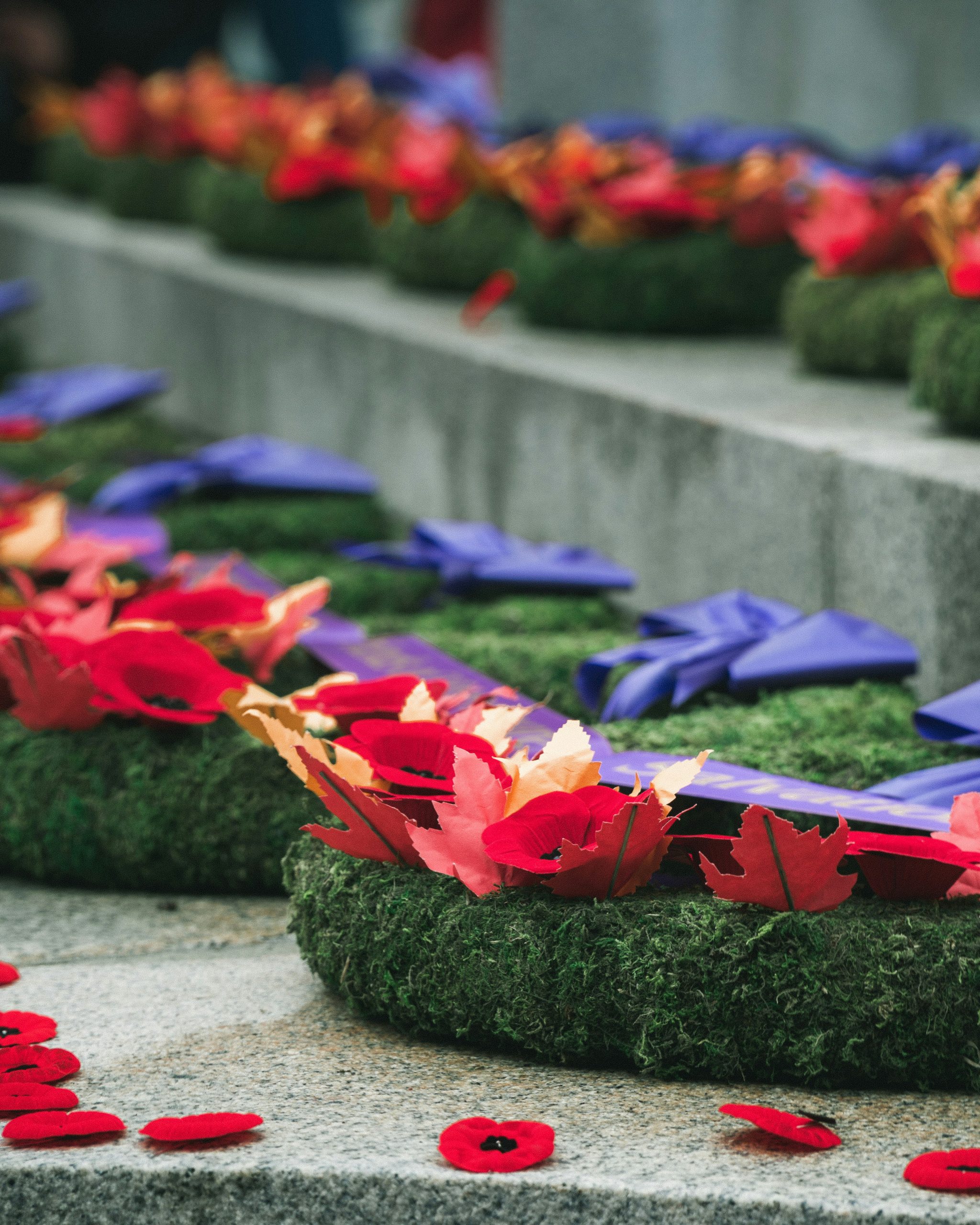 glib-albovsky-PfaU9FblTEg-unsplash - Look Local - Celebrating Community